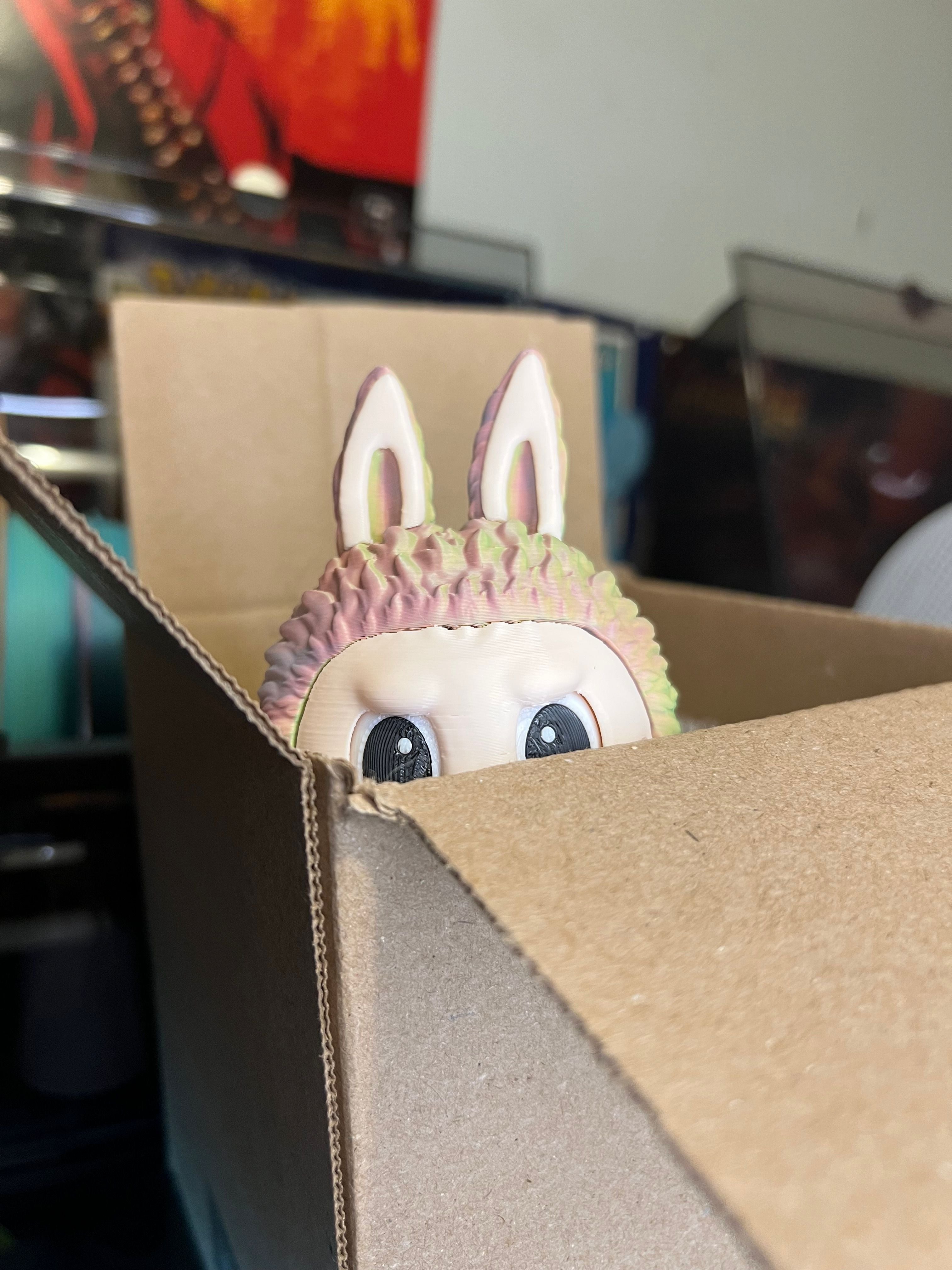 Mystery Labubu Box! – Grizz's 3D Print Shop